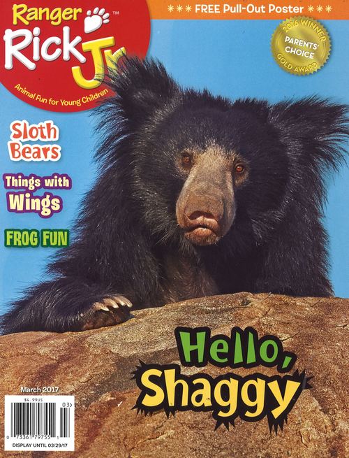 Magazine Discount Center